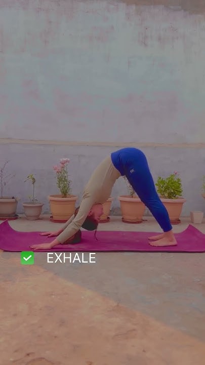 Learn When To Inhale And Exhale During Surya Namaskar Suryanamaskar