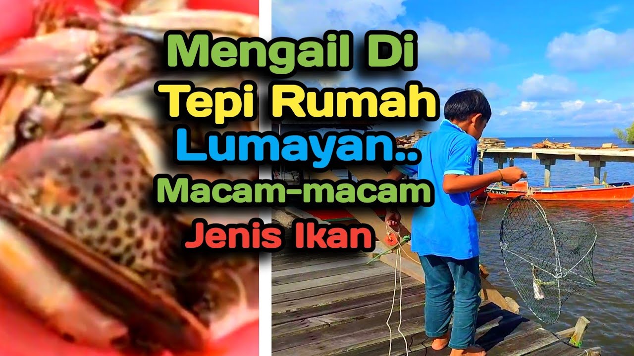 Mengail Ikan Dan Ketam Di Sempadan Brunei - YouTube