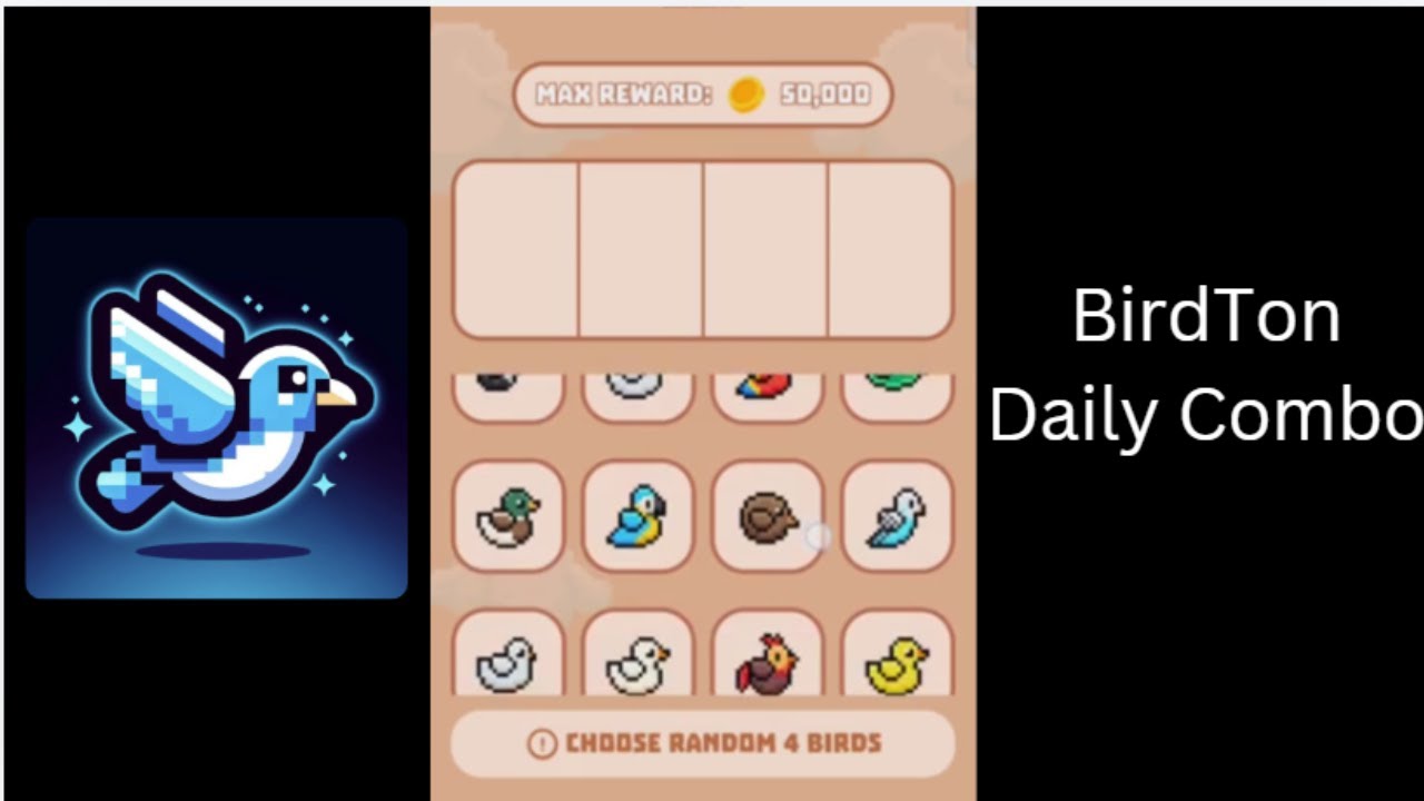 30 September Bird Ton Combo || Bird Ton Today Combo || Bird Daily Combo ...