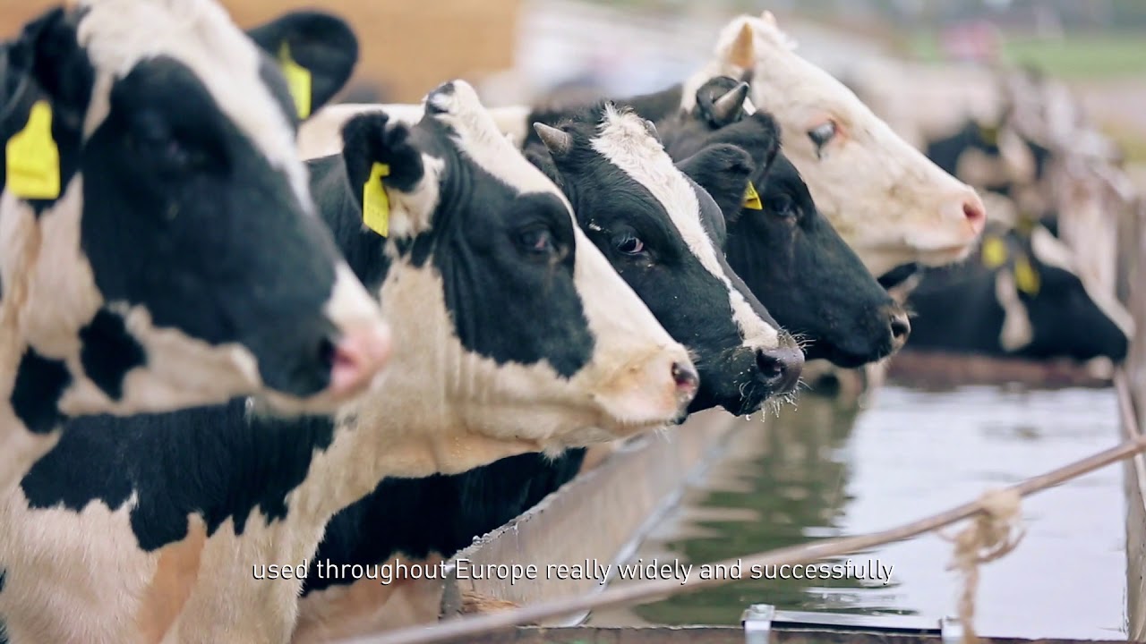 Cleaner Water. More Productive Animals. - YouTube