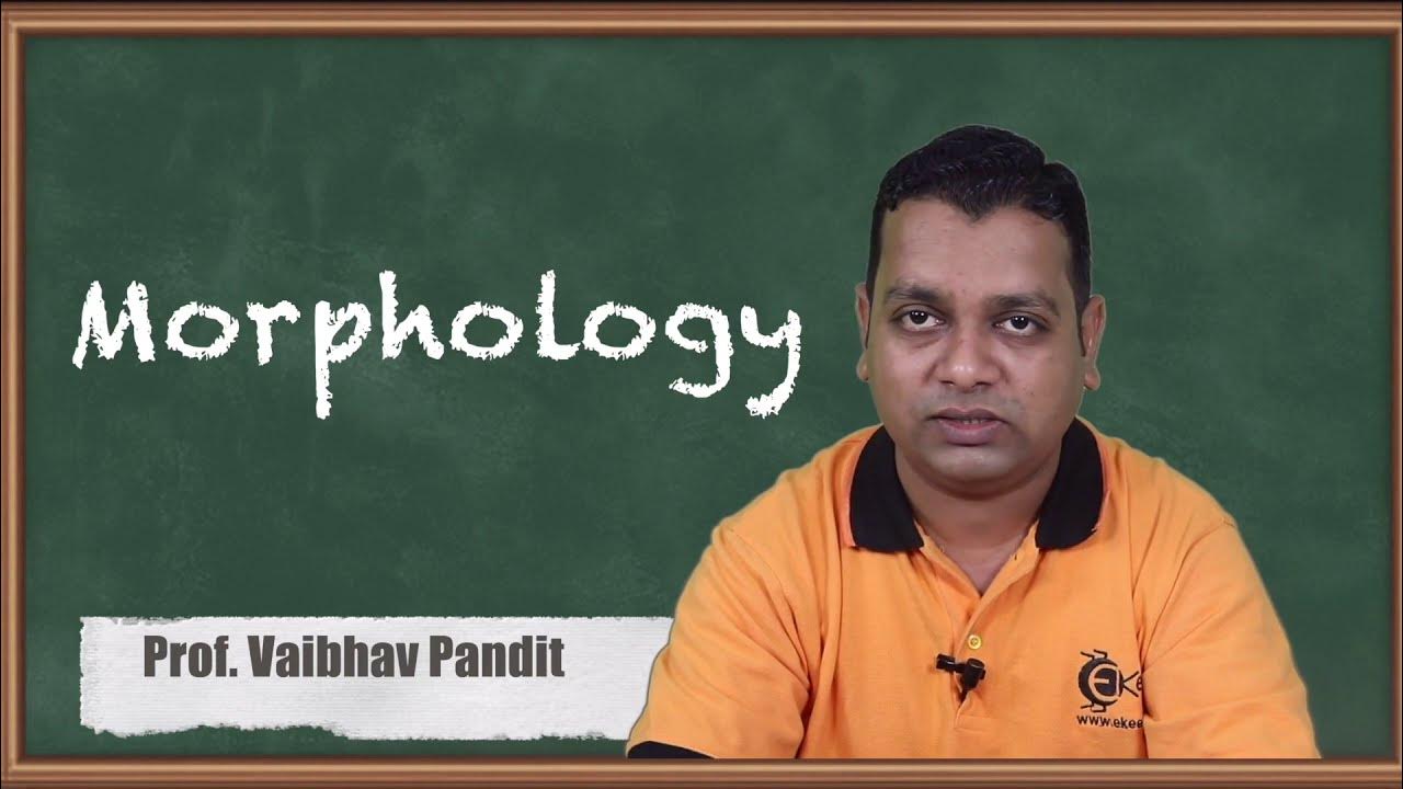 Introduction to Morphology - Morphological Image Processing - Image ...