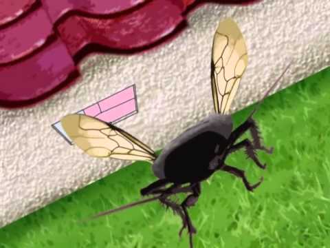 refined animation - YouTube