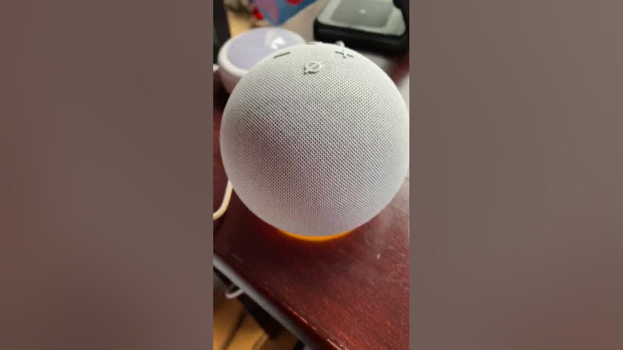 How to setup a new echo dot - YouTube