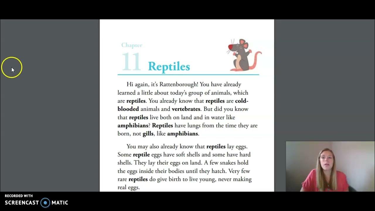 3rd Grade CKLA ELA - Unit 2 Lesson 9 Animal Classification Reptiles ...