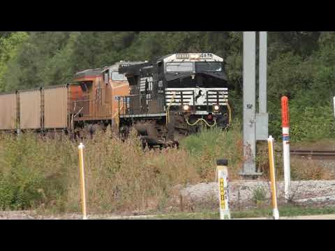 NS 553 - YouTube