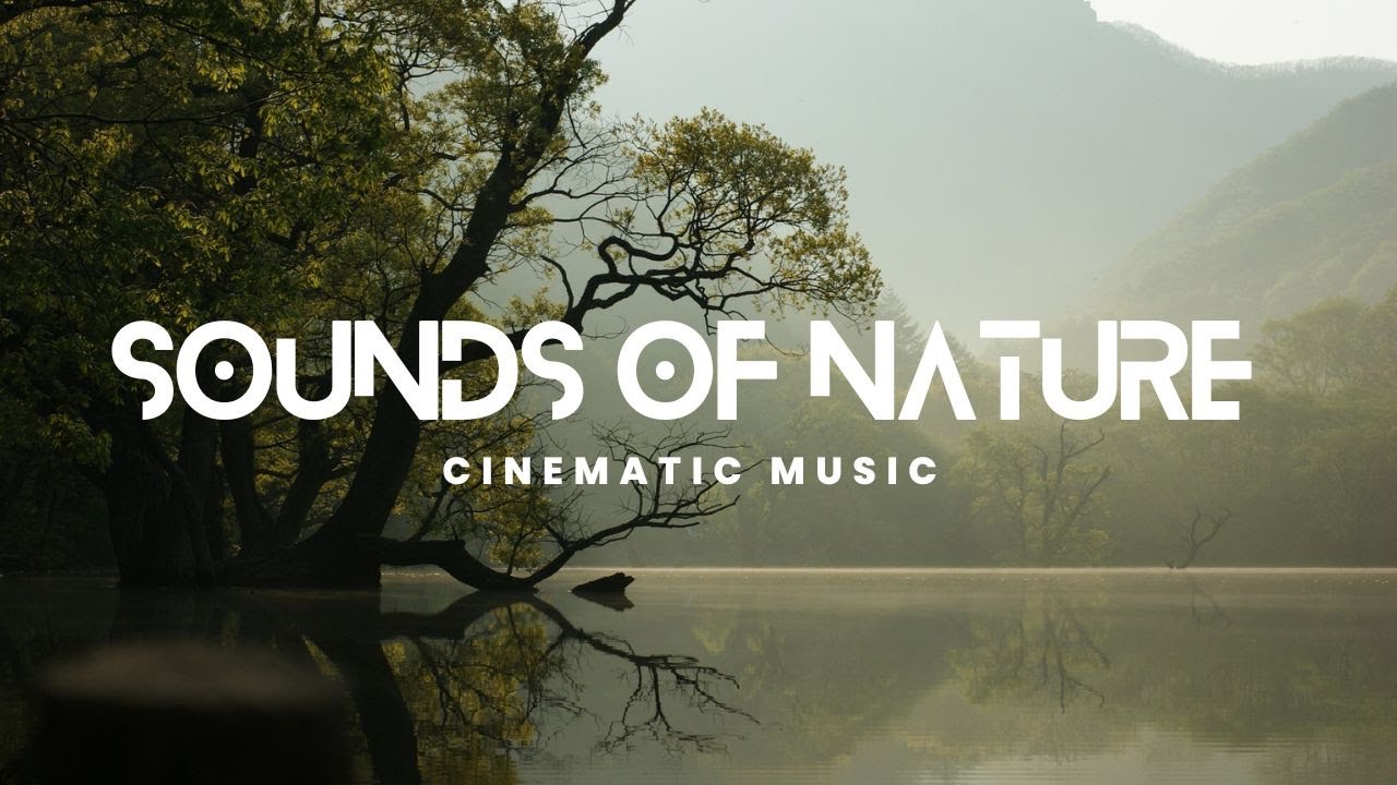Sounds of Nature Inspirational Piano Track - YouTube