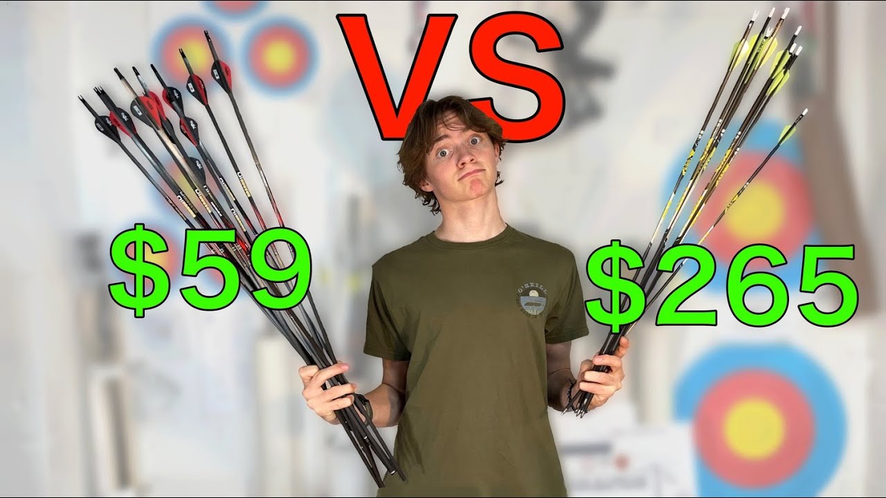 CHEAP VS EXPENSIVE ARROWS (Sanlida Dragon 10 Arrow build & review ...