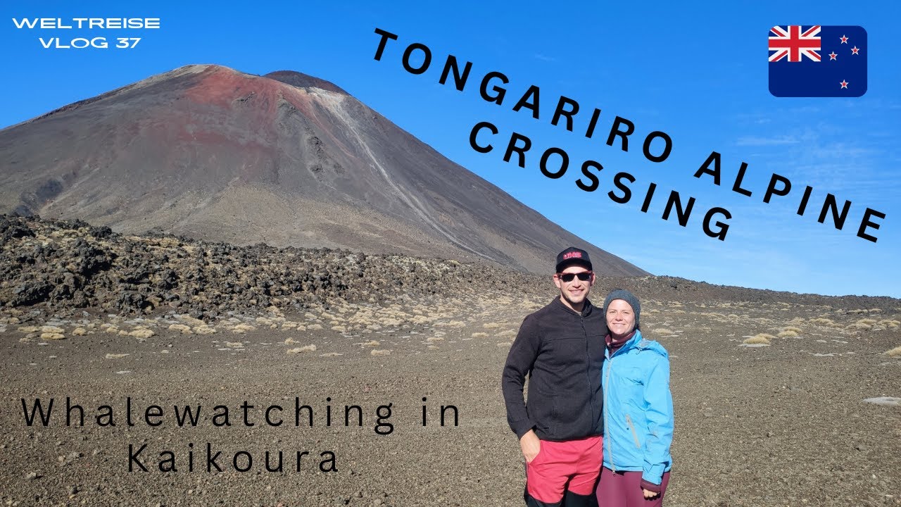 Tongariro Alpine Crossing & Whale Watching Kaikoura - Vlog 37 - YouTube