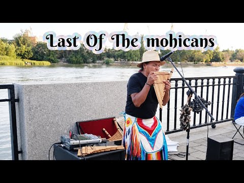 The Last Of the Mohicans 