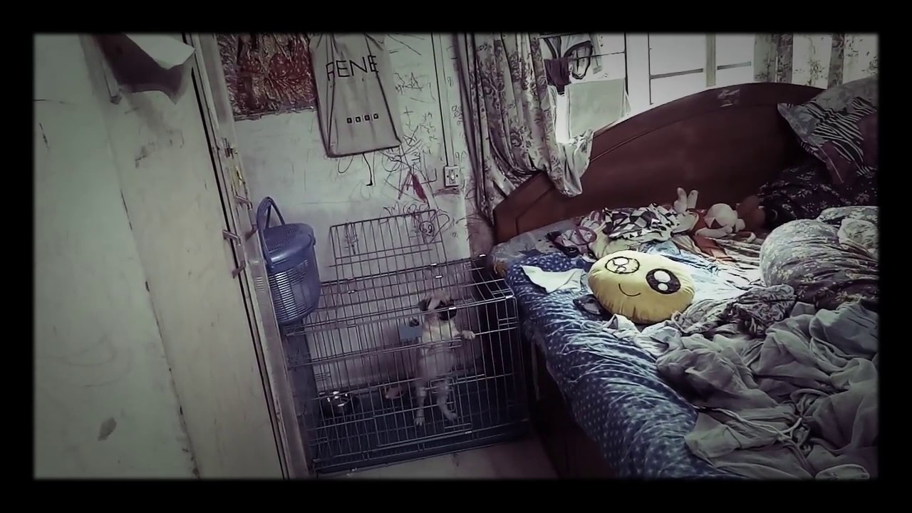 watch this video how a pug gets outta her cage in some seconds ...