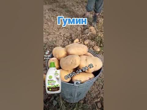 Гумин органикалык жер семирткич #0550248412 #онлайнагроветаптека - YouTube
