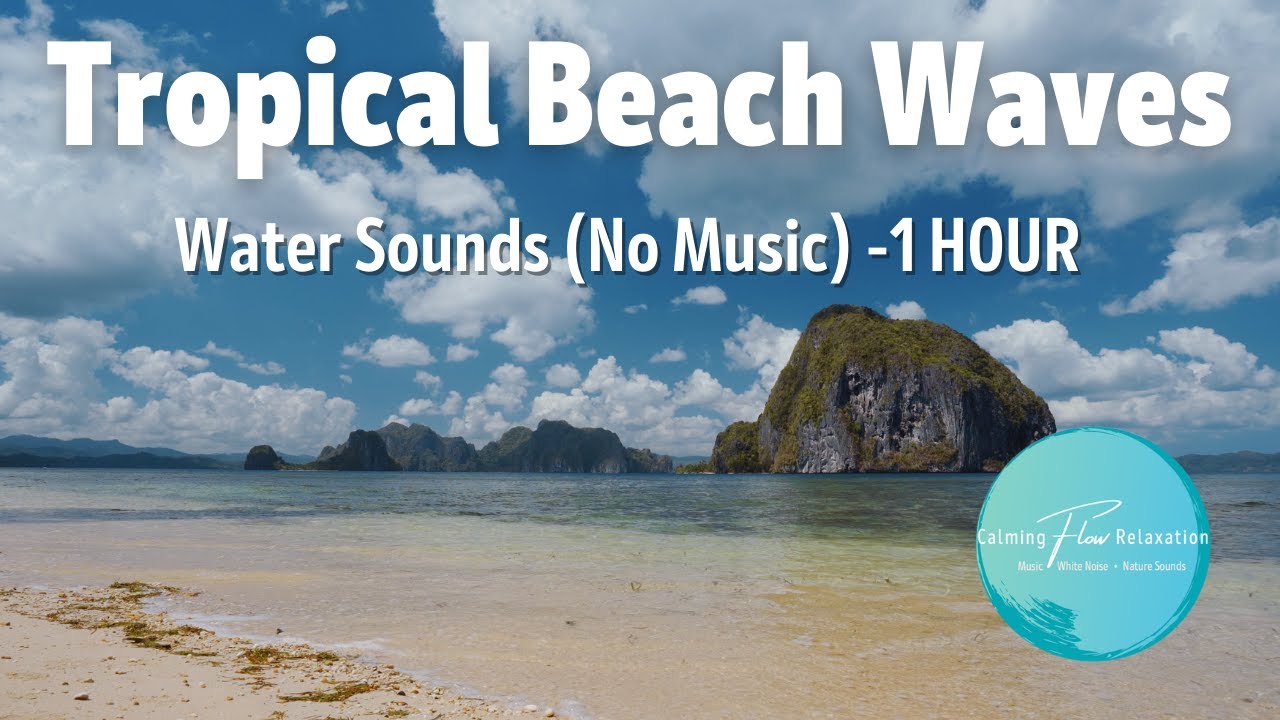 Tropical Beach Waves in 4K | Ocean Wave Sounds on a Sandy Beach for ...