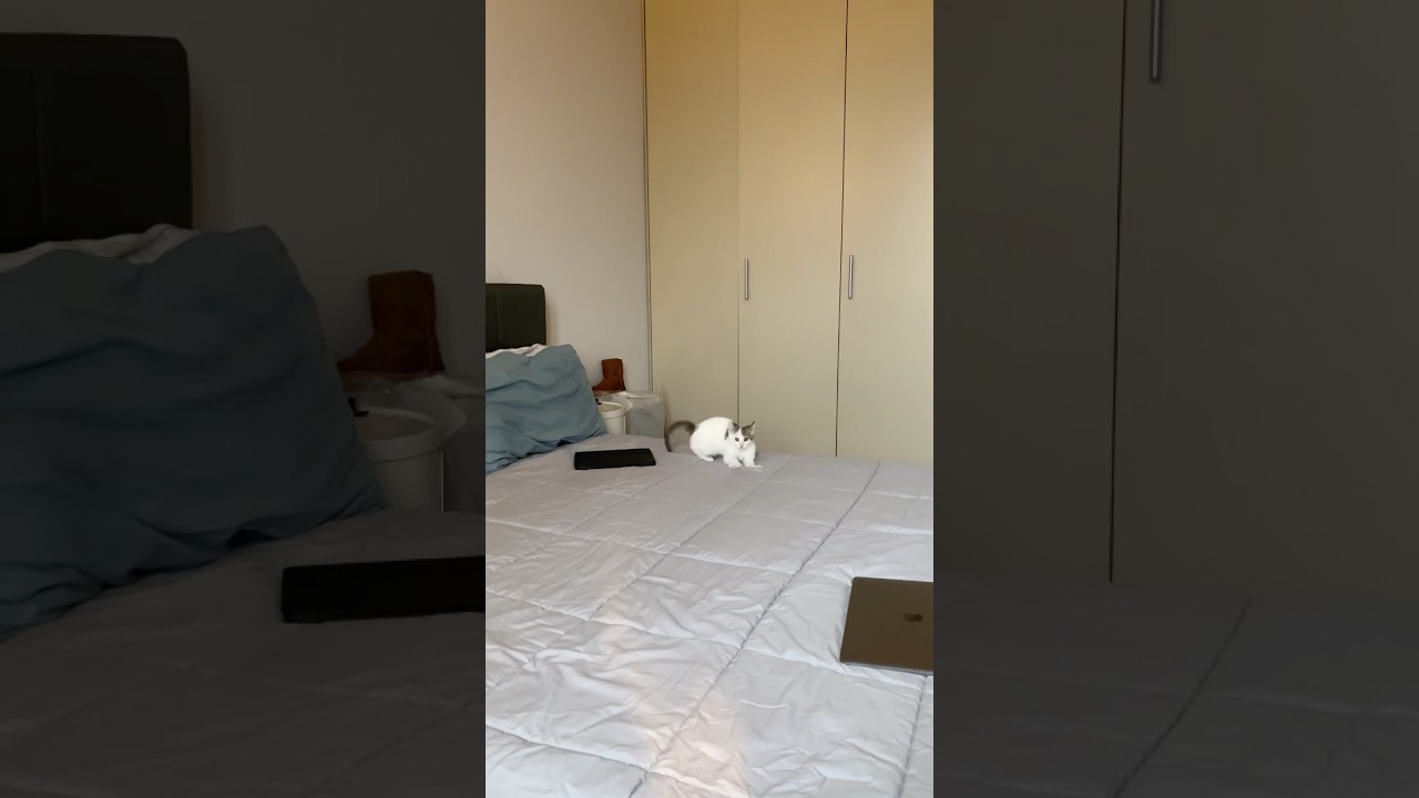 What does she see?😂 imaginary enemy - YouTube