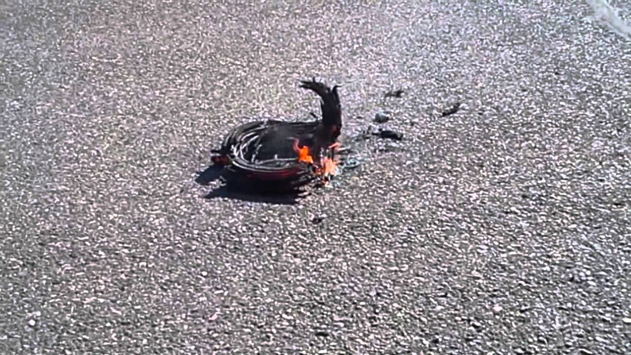 Lighting a Whole Bundle of Black Snake Fireworks All at Once - YouTube