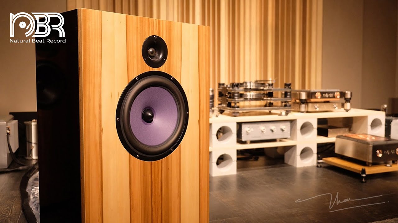Premium Sound Quality | High-End 32-Bit Audio for Relaxation & Focus ...