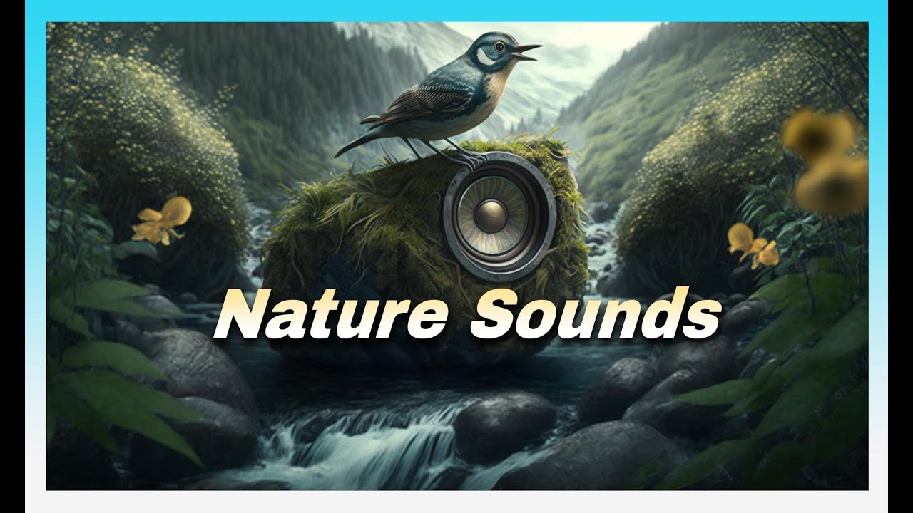 Relaxing Nature Sounds for Sleep - 😪 💤 Calm Your Mind with Forest and ...