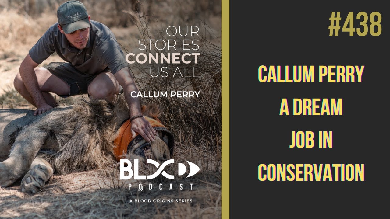 Blood Origins Podcast #438: Callum Perry - A Dream Job in Wildlife ...