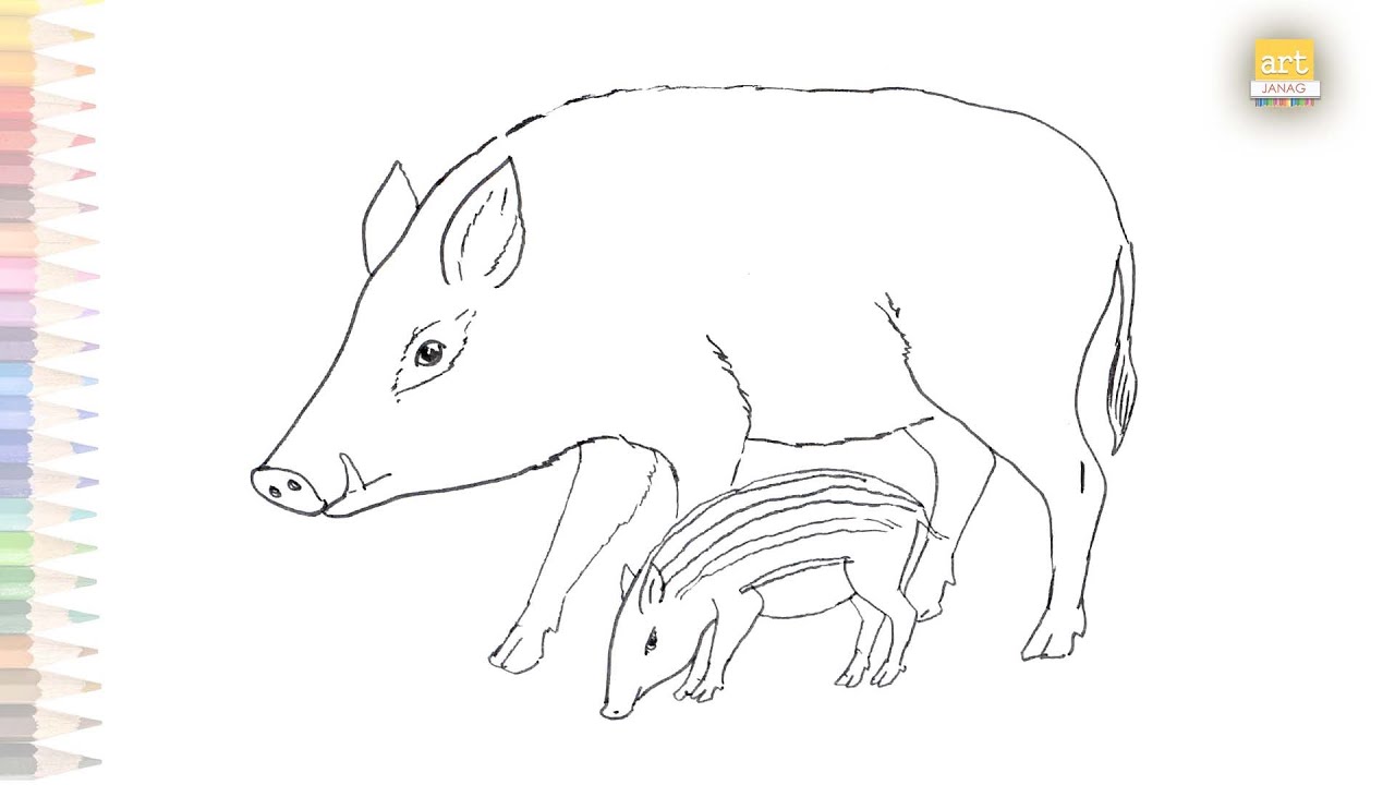 Wild pig drawing easy | How to draw A Wild Pig step by step drawing ...