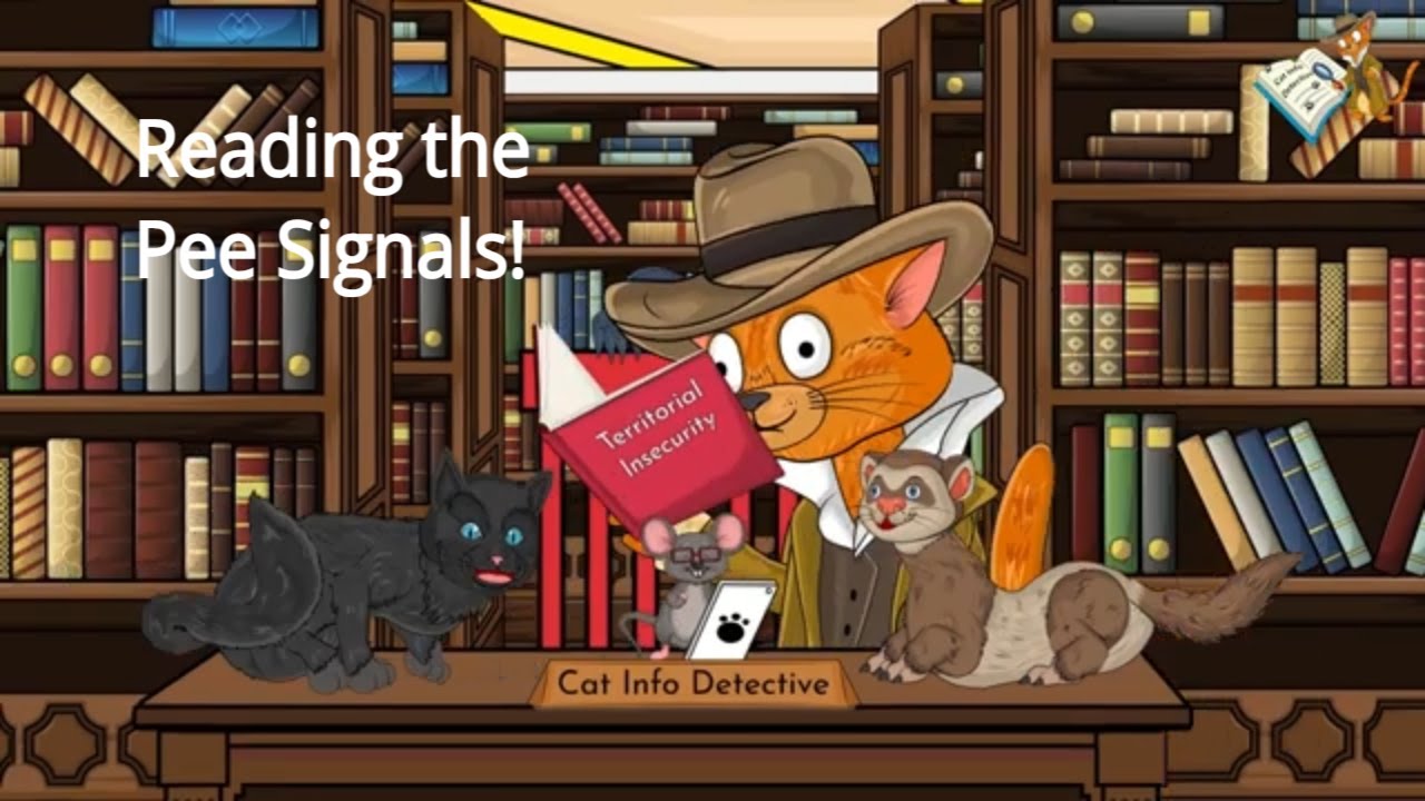 Reading the Pee Signals - Territorial Insecurity - YouTube
