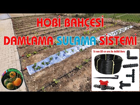 Hobi Bahçesi Damlama Sulama Sistemi Nasıl Yapılır ?