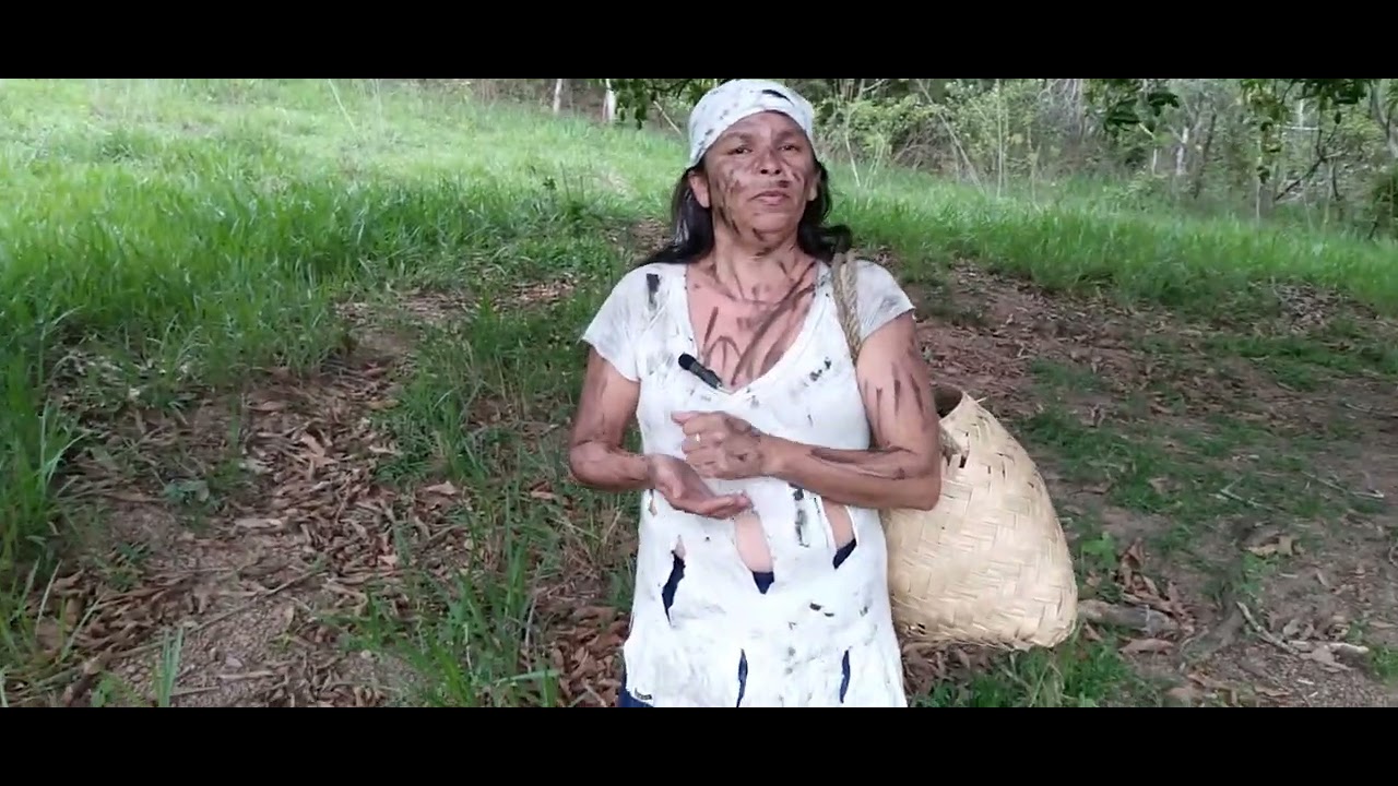 Dona Zefina Pegando Manga Youtube
