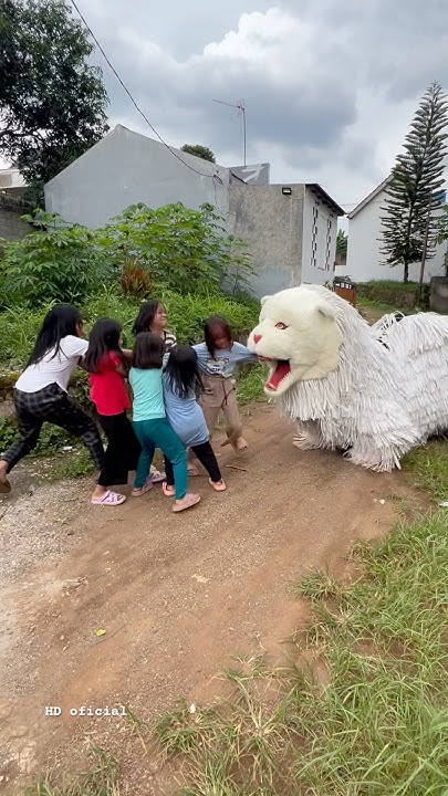 Gadis cantik tangan nya di gigit can macanan ‼️ - YouTube