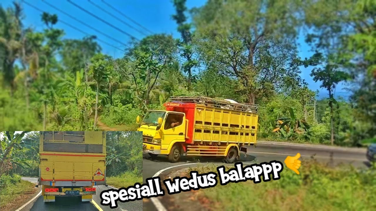 || libom mbois lopp😍 spesial wedus balap|| 🔴 CCTV PANGGUL SOS 🎥 - YouTube