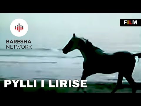 The forest of freedom / Movie Year 1976 - Pylli i Lirise ( Old Vintage Movie)