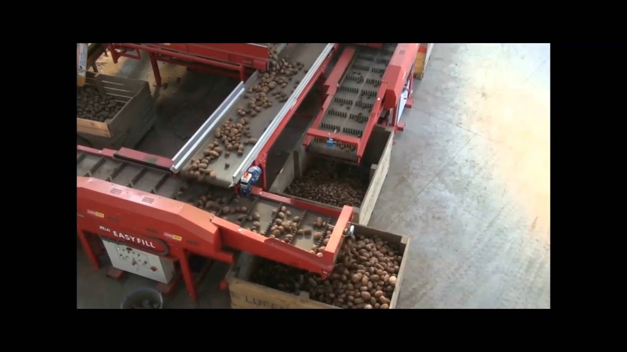 Potato Box Filling with the Tong Midi EasyFill Box Filler - YouTube