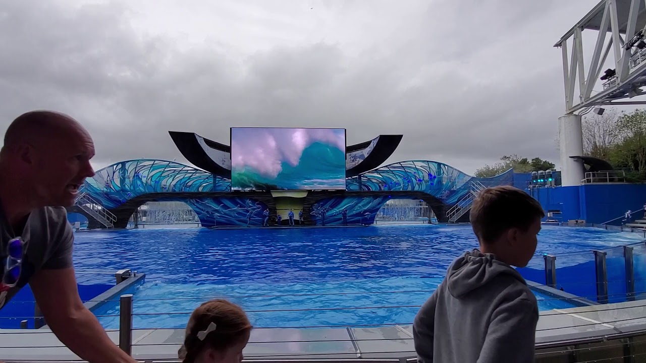 SeaWorld Orlando One Ocean show 12.21.2019 Finale segment with 5 whales ...