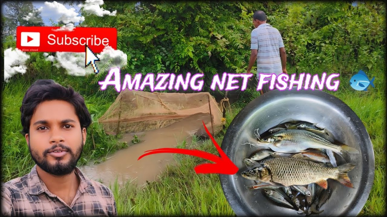Village net fishing video || Amazing net fishing || New Fishing video ...