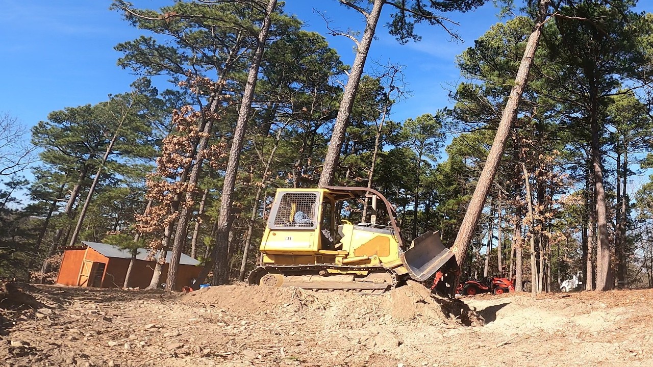 Dozer VS Trees - YouTube