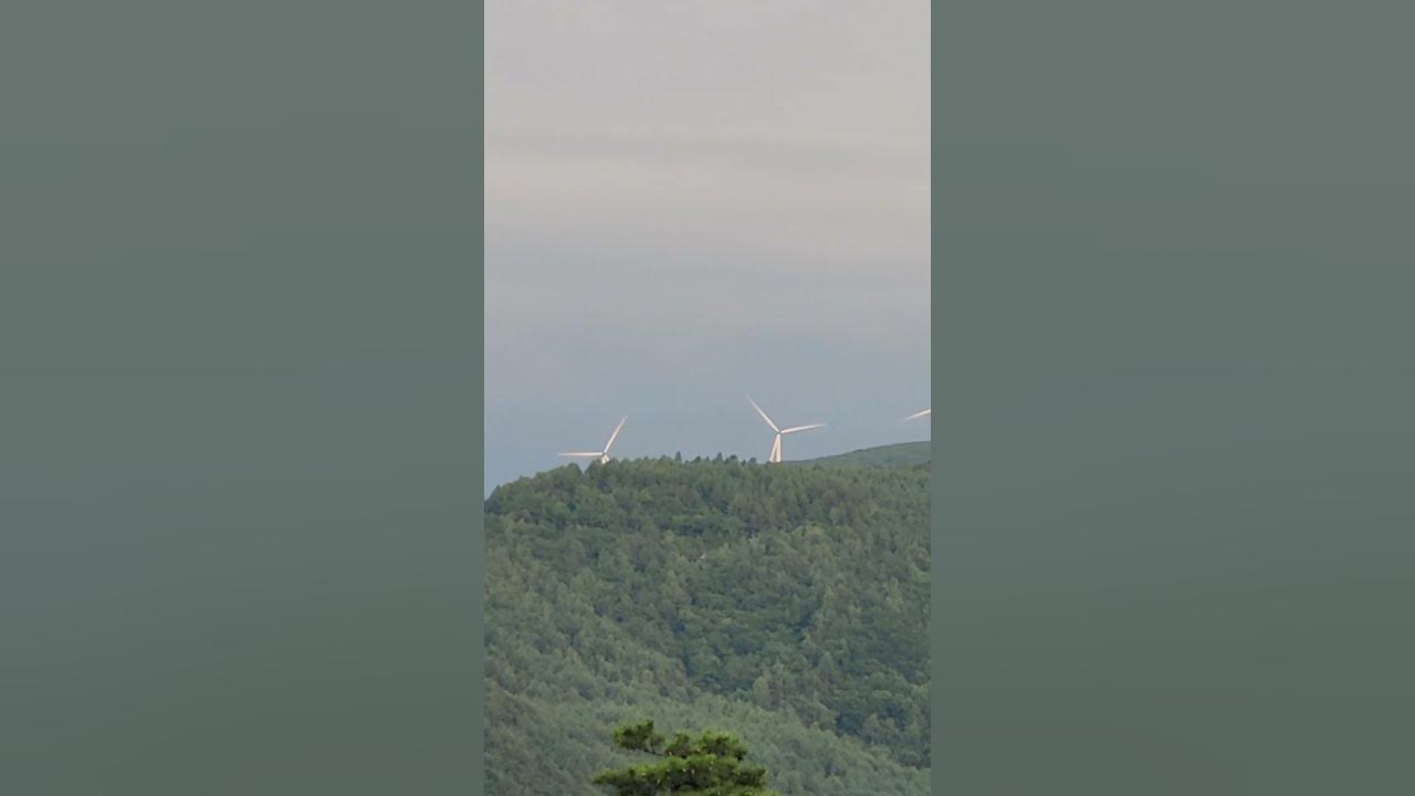 #정선 #하이원리조트 구석구석 이쁘다 #풍력발전 - YouTube