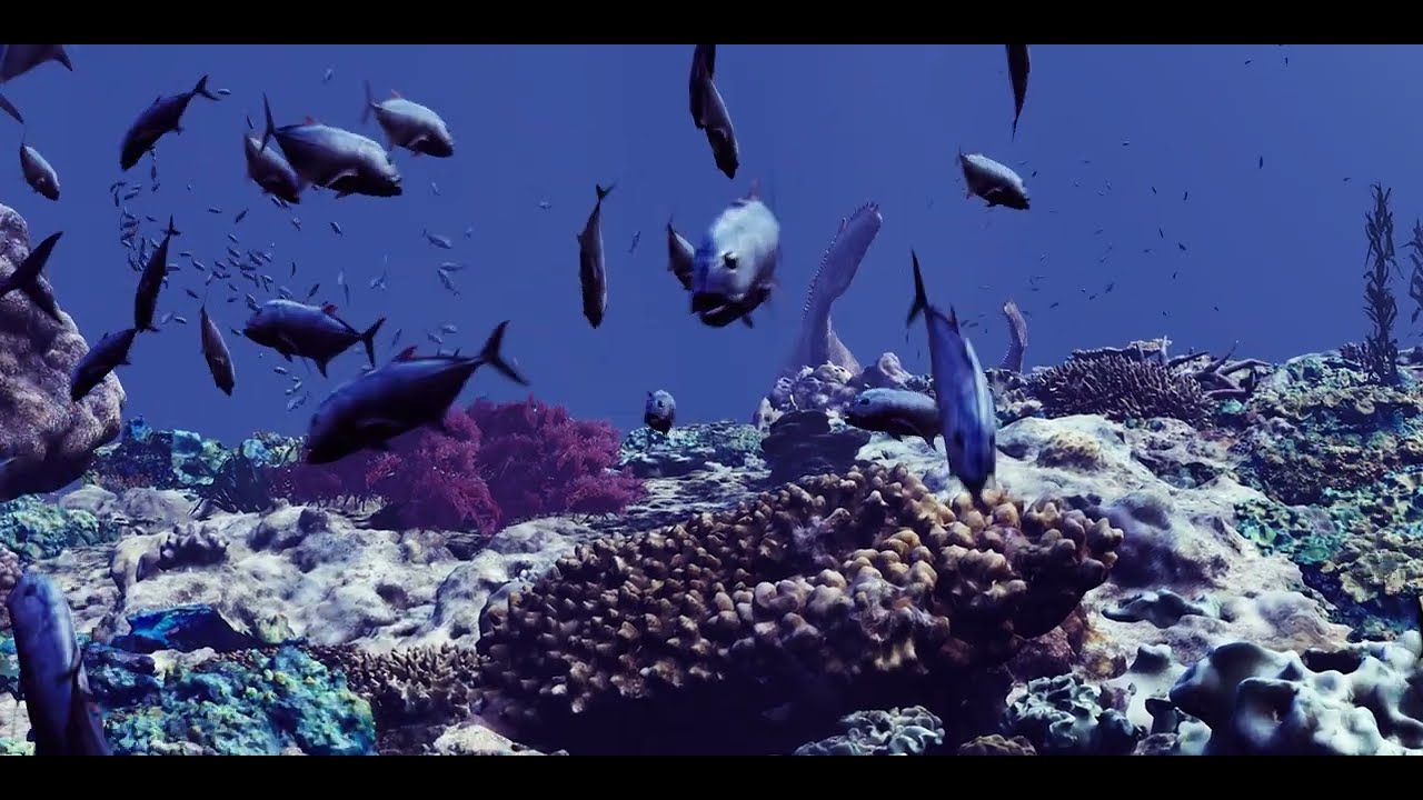 Unreal Engine realistic ocean environment - YouTube