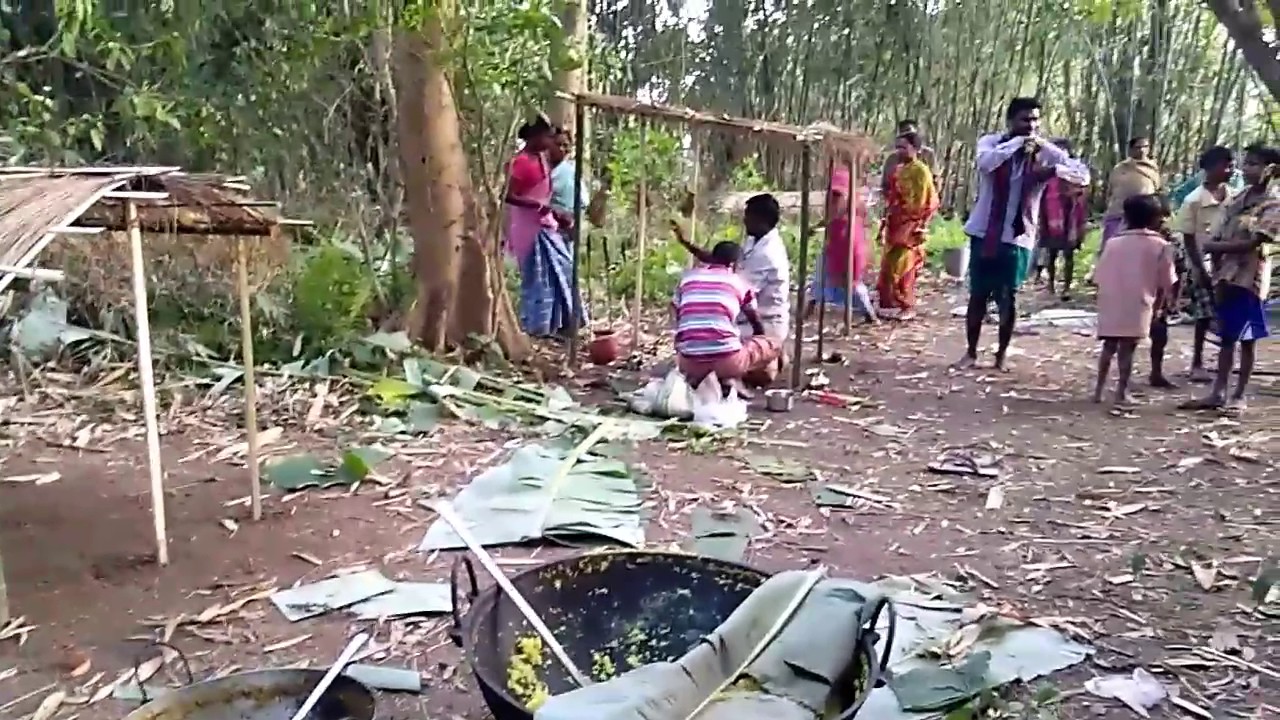 Panbari no 1 assam - YouTube