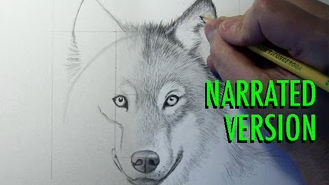 How to Draw Animals - YouTube