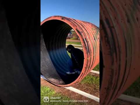 MeTube #stillmarried #fun #pumpkin