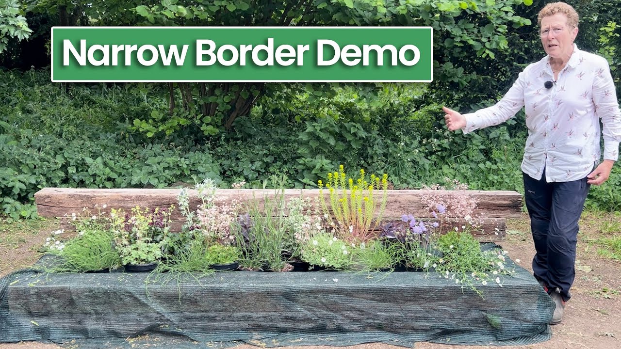 The Coffin Border: Planting Example of a Tricky Narrow Border - YouTube
