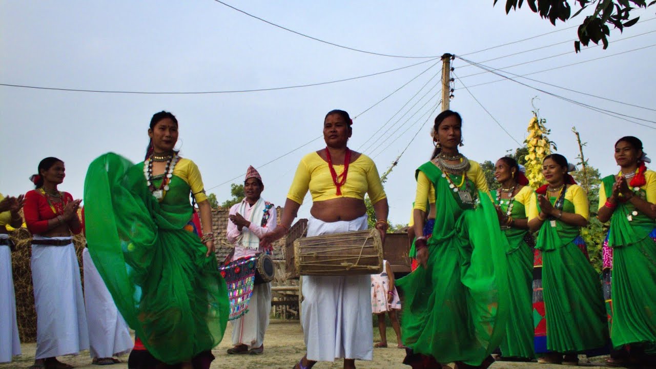 Cultural Dance Of Tharu Homestay village Bhada#Love it - YouTube