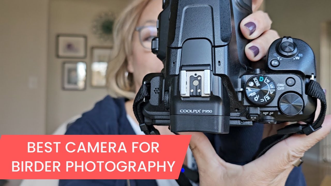 The Best Superzoom Camera for Backyard Birdwatchers: Nikon COOLPIX P950 ...