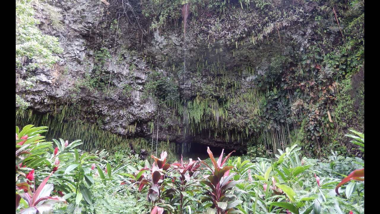 Fern Grotto, Wailua River, Kauai, Hawai'i 2018 - YouTube