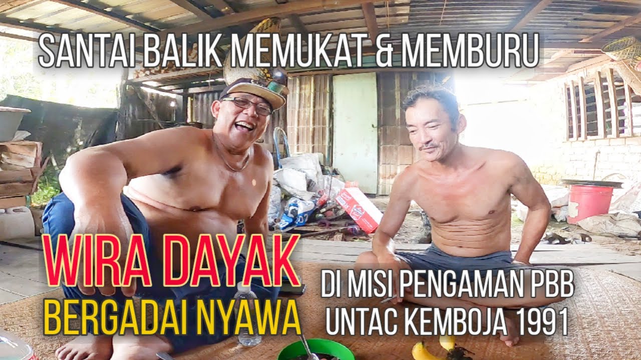 Kehidupan Suku Dayak Pedalaman Balik Memukat & Memburu. Cerita Wira ...