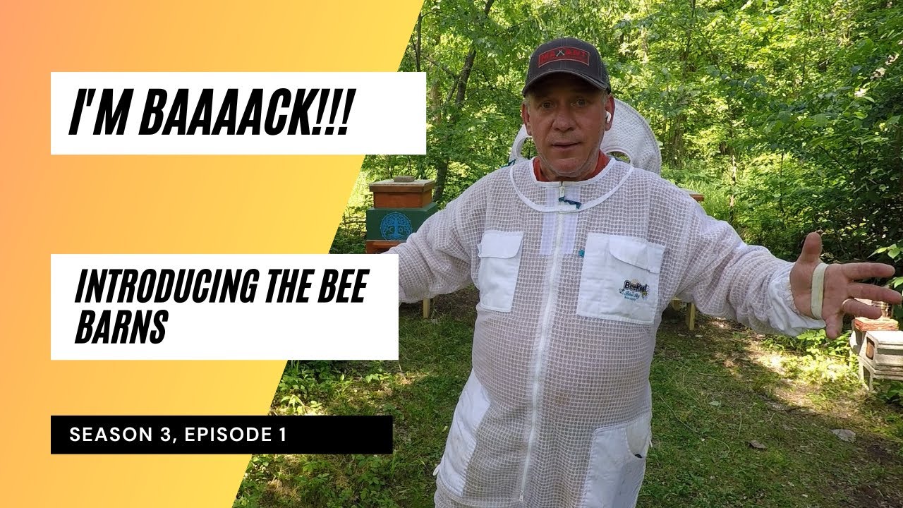 Introducing My Bee Barns - YouTube