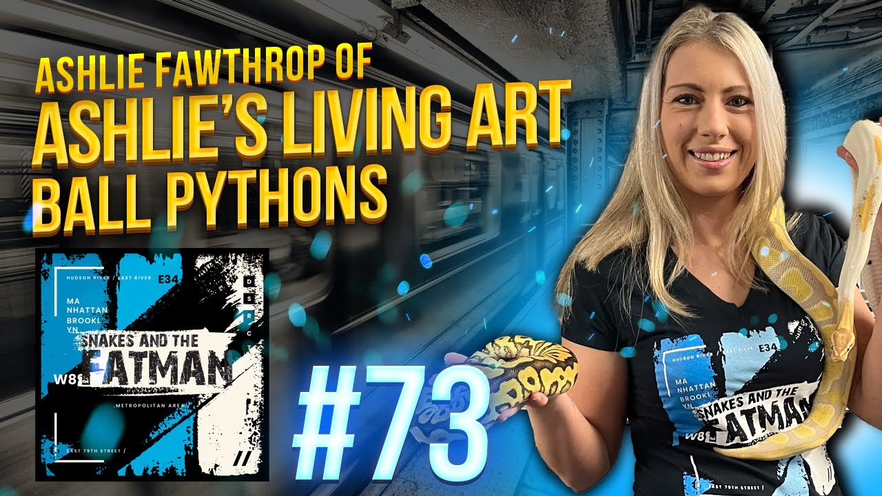 SATFM - Episode 73 - Aslie Fawthrop - Ashlie's Living Art Ball Pythons - YouTube