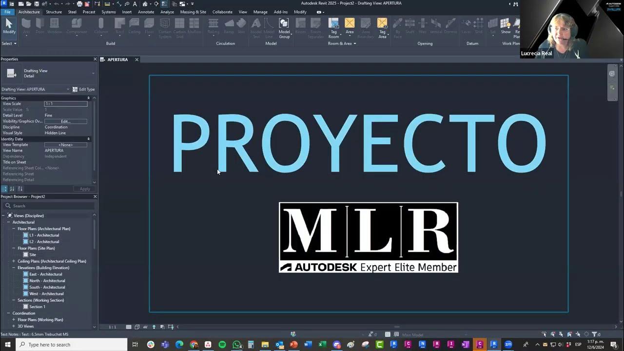 Novedades de Revit 2025 y Toposolid - YouTube