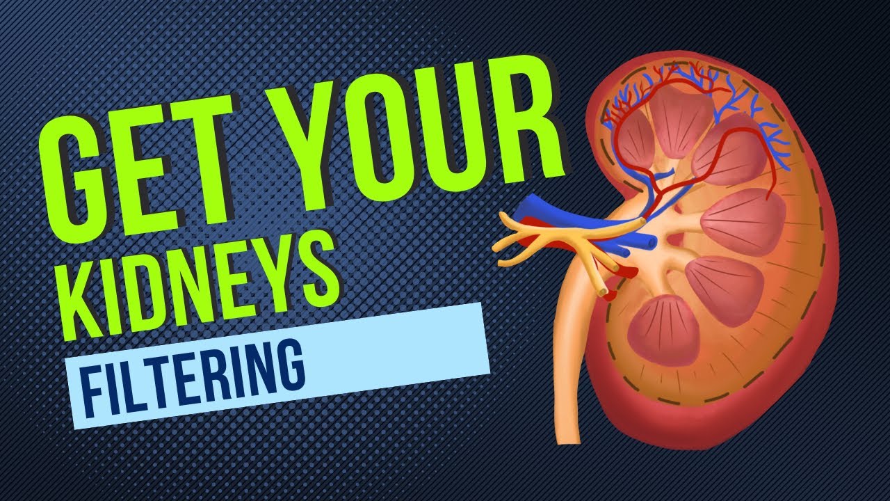 Get your kidneys filtering - YouTube