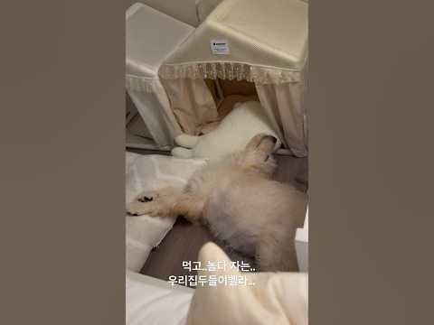 벨라공주 좀 잘게요 여러분 - YouTube