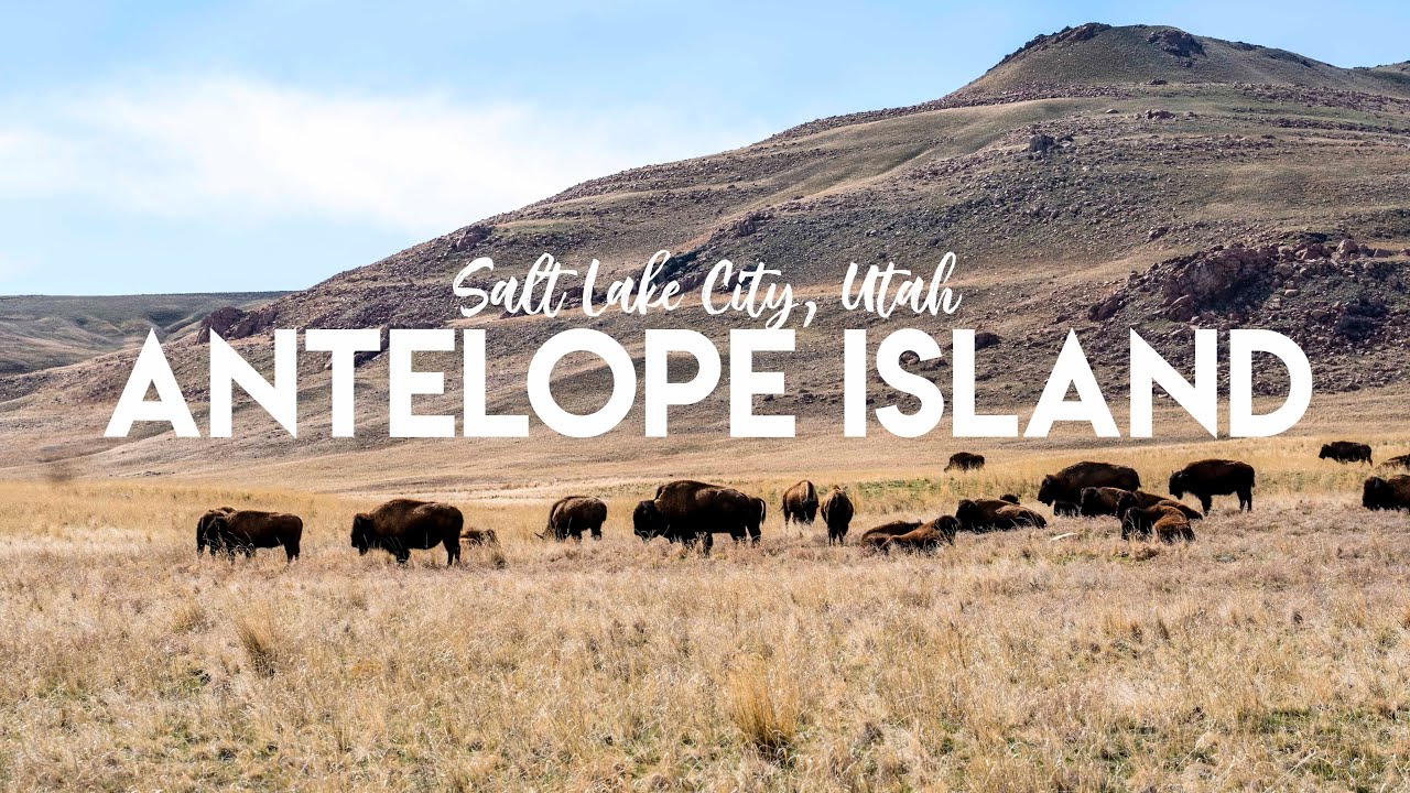 Antelope Island | Salt Lake City, UT - YouTube