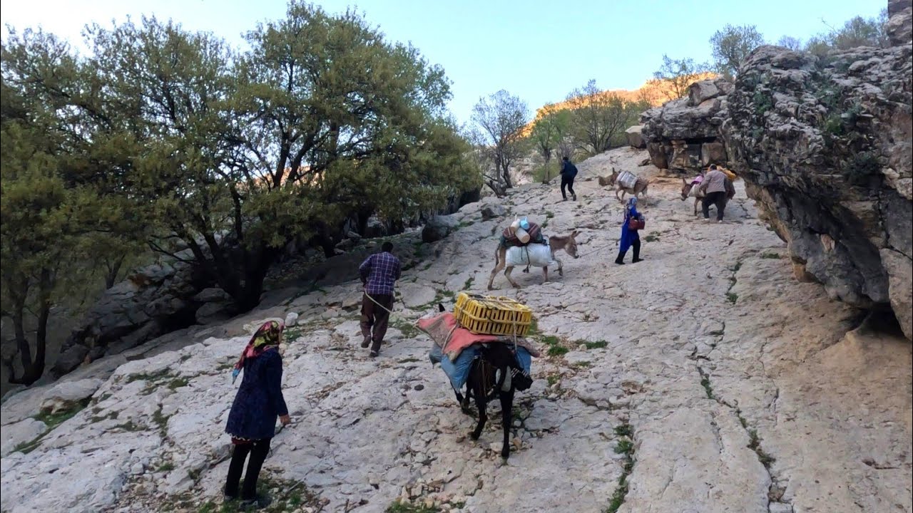 Iranian Nomads Immigrate To Cold Region _ Iranian Nomadic & Village ...