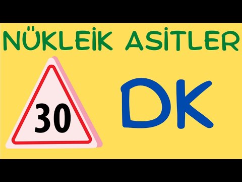 30 DAKİKADA NÜKLEİK ASİTLER